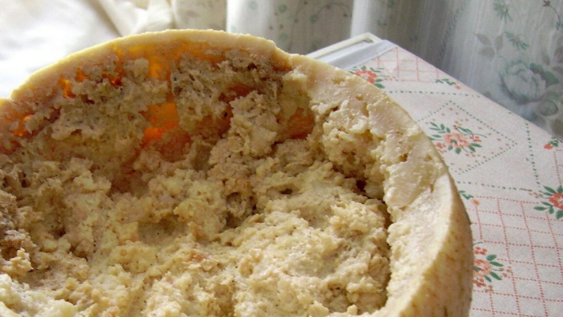 Las 11 comidas más raras del mundo - QueGustodeMundo.com